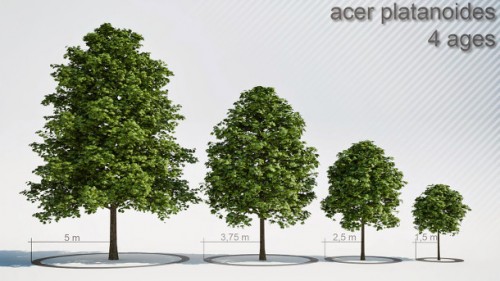 Download 33 tree models free for commercial use | CG Channel