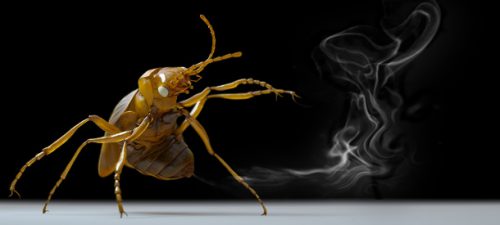 Master insect anatomy for creature design | CG Channel