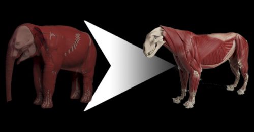 Ziva Dynamics releases Ziva VFX 1.6 for Maya | CG Channel