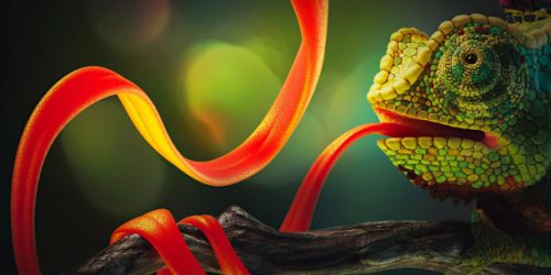 Get CG software for free during the coronavirus outbreak | CG Channel