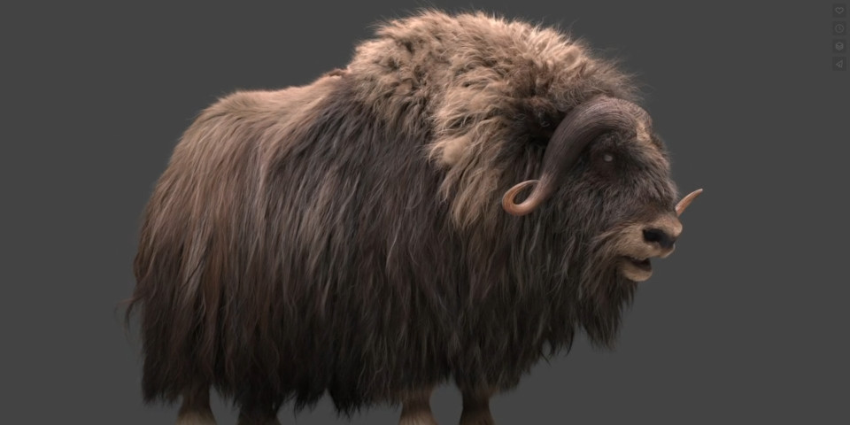 SideFX releases Houdini 19.5 | CG Channel