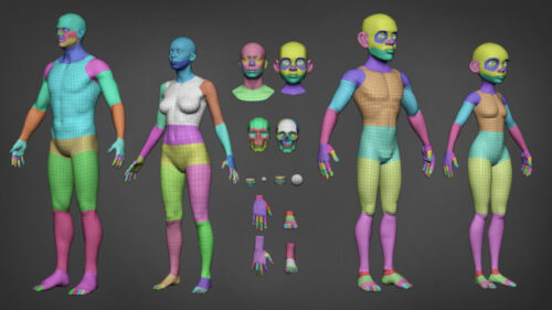 Download Blender Studio’s free Human Base Meshes | CG Channel