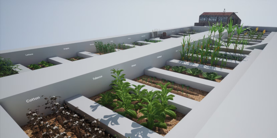 Get 160+ free 3D plants, including crops, fruits and vegetables | CG ...