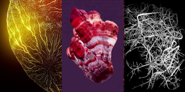 Free Houdini add-on GGro creates crazily beautiful organic forms | CG ...